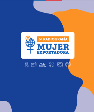 SUBREI Subsecretaría de Relaciones Económicas Internacionales